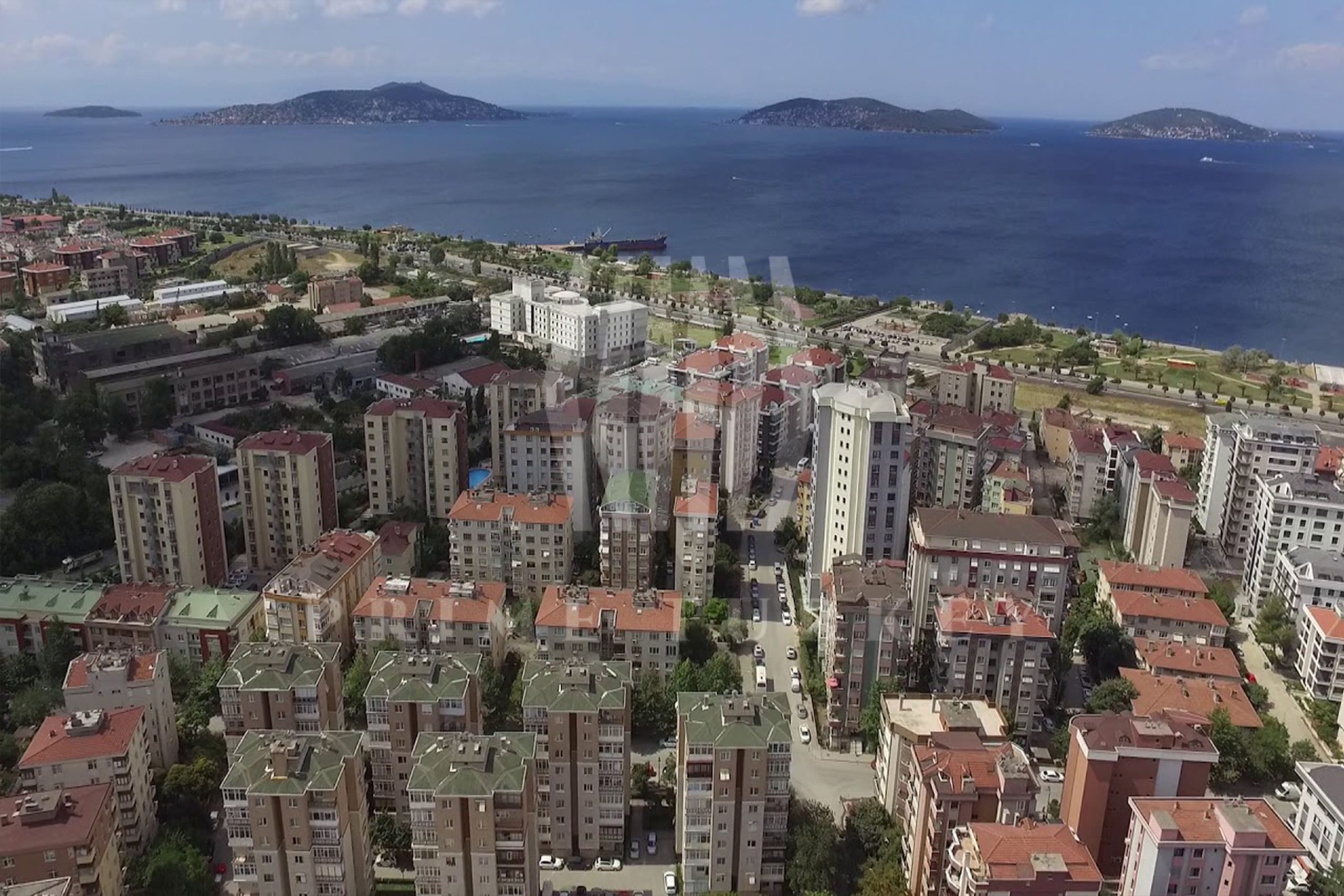 The Novel - Prime Turkey